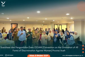 cedaw_8_oktober_20241.png