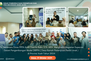 supervisi_desa_ramah_anak_21.png